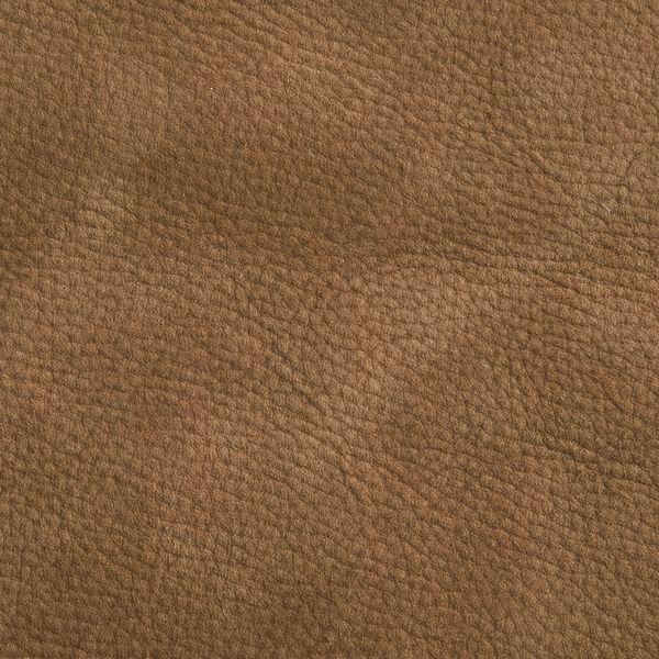 Nest · Naturedesign