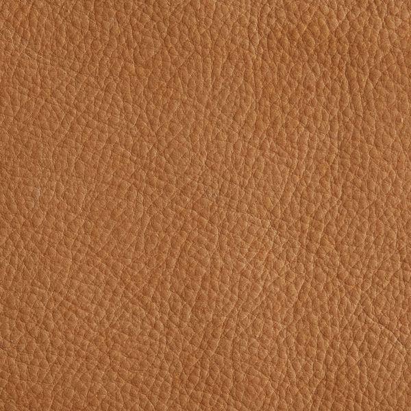 Dune · Naturedesign